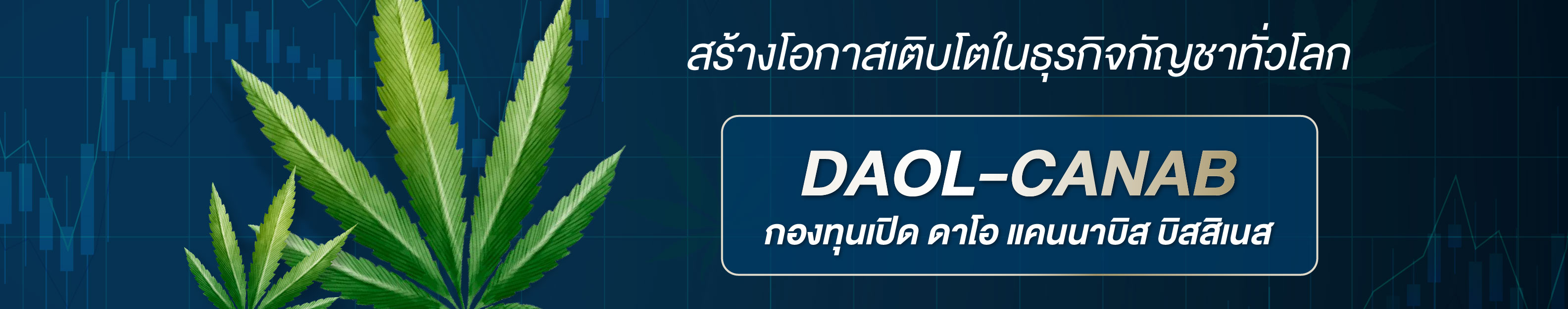 DAOL INVESTMENT MANAGEMENT