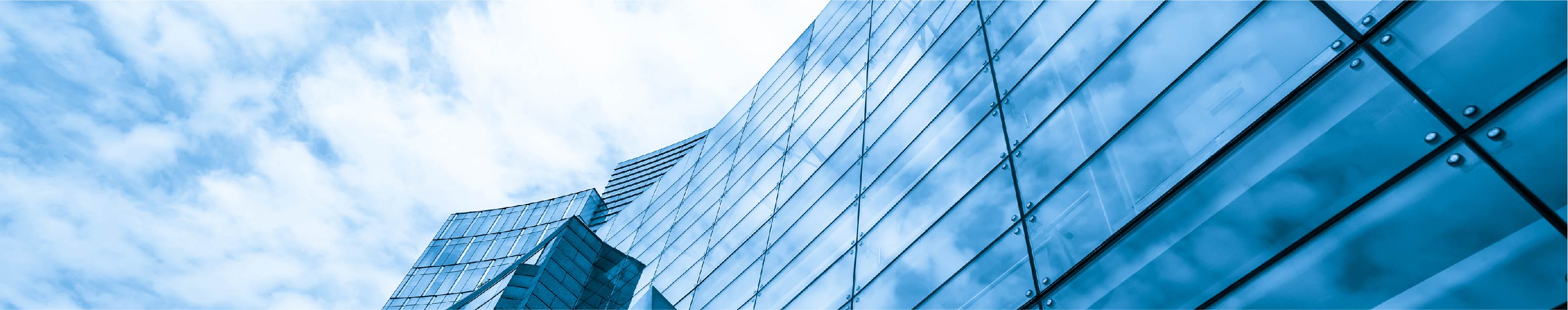 DAOL INVESTMENT MANAGEMENT